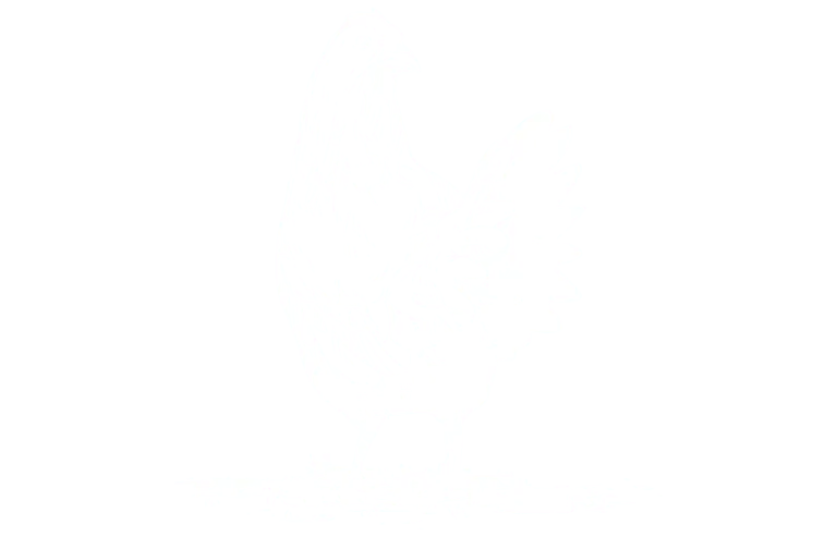 William Rose Butchers – Where Quality Matters